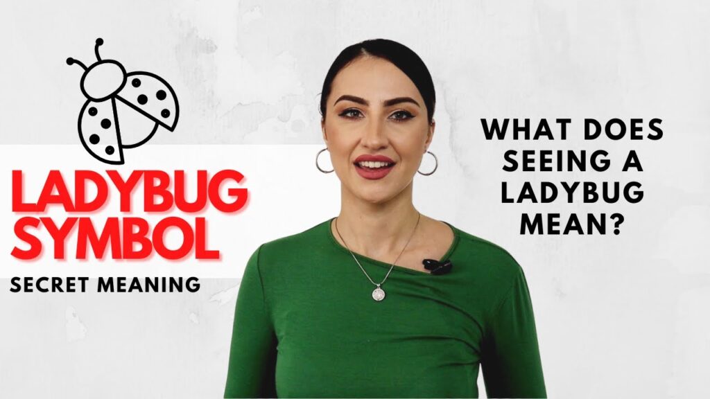 The Spiritual Meaning of the Ashy Gray Lady Beetle - Spiritual Meaning