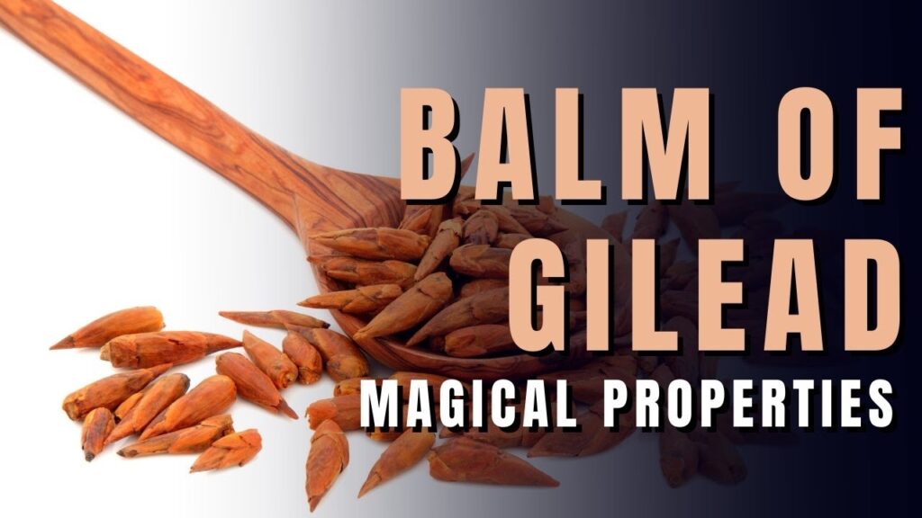 The Spiritual Meaning of Balm of Gilead: Exploring its Significance ...