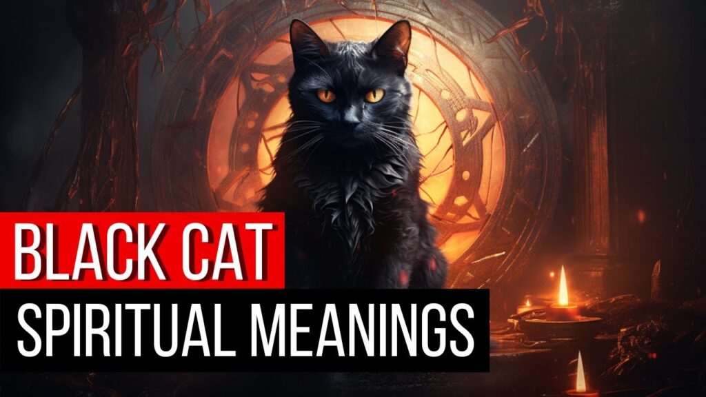 The Spiritual Meaning of a Black Cat Following Me - Spiritual Meaning