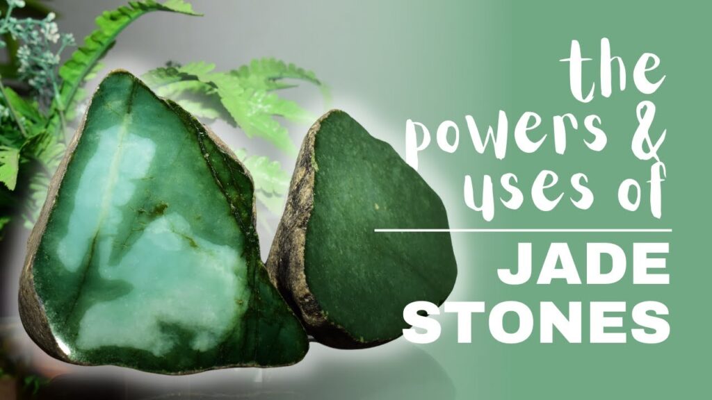 The Spiritual Significance of Eggplant Explained - Spiritual Meaning