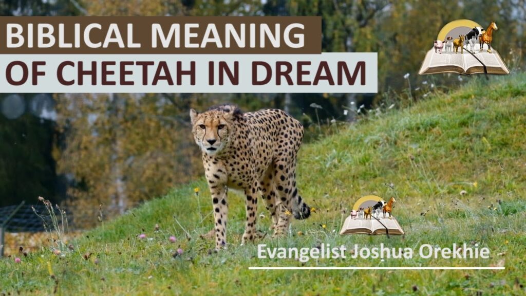Unearthing the Spiritual Meaning of Cheetahs - Spiritual Meaning