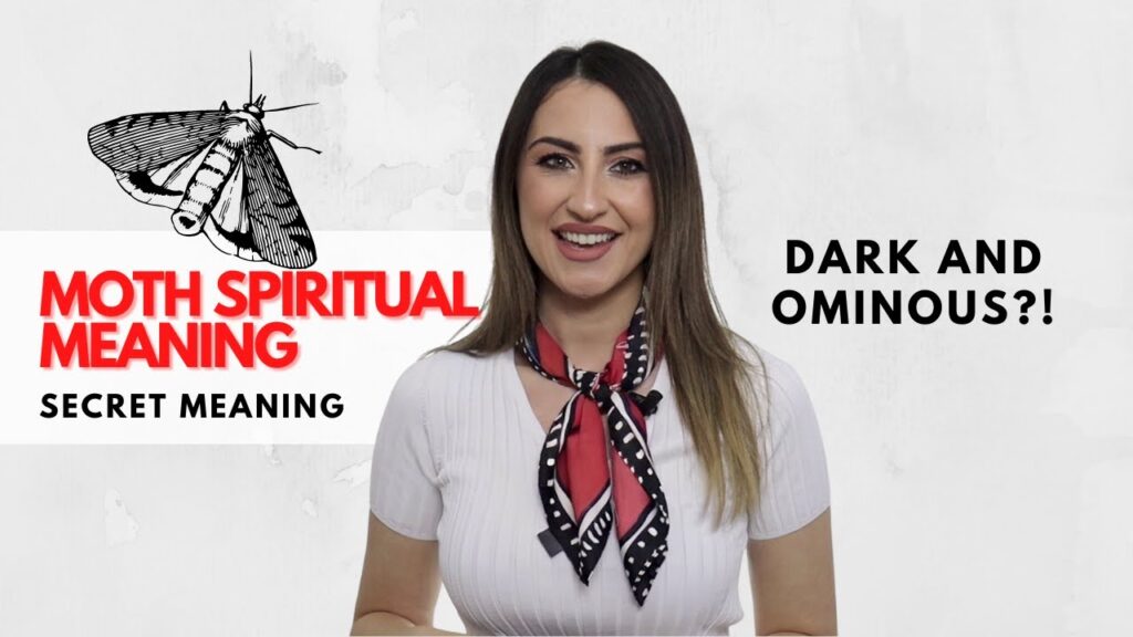 The Spiritual Meaning of the Clymene Moth: Unveiling Symbolism and ...