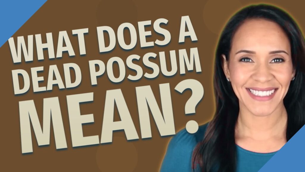 The Spiritual Symbolism of Dead Possums: Exploring their Hidden ...