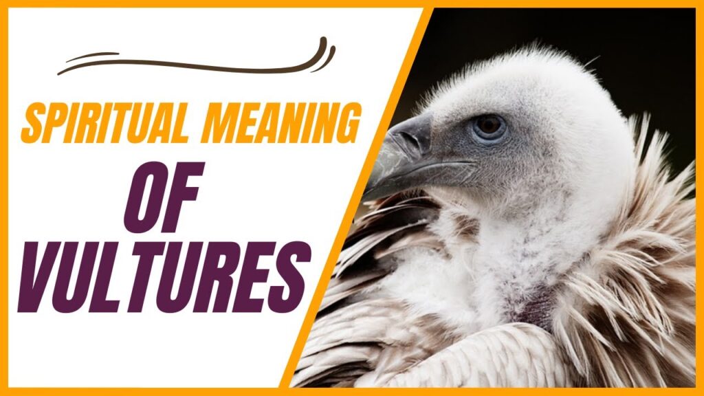 The Spiritual Meaning of Euroclydon: Unveiling the Truth - Spiritual ...
