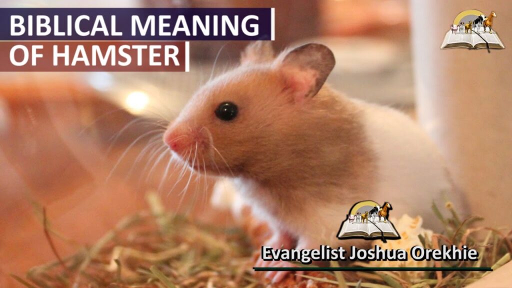 The Spiritual Significance of Women with Beards Explained - Spiritual ...