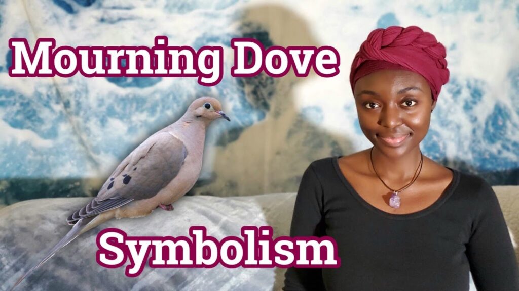 The Spiritual Meaning of Hearing Mourning Dove Sounds - Spiritual Meaning