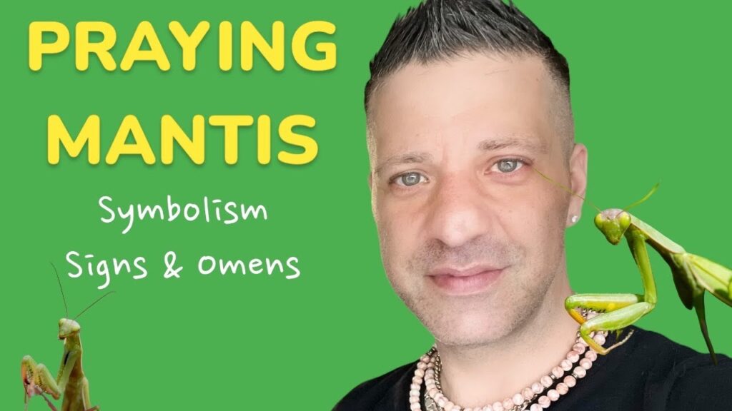 The Spiritual Meaning of Primantis Bugs: Explained - Spiritual Meaning