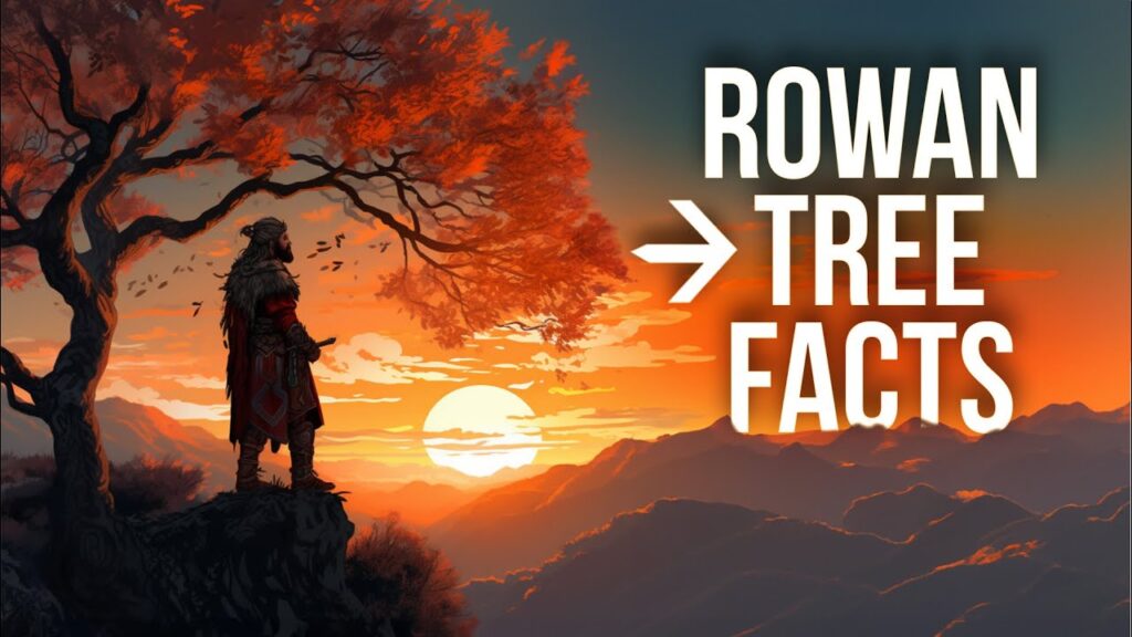 The Spiritual Meaning of Rowan Tree: A Comprehensive Guide - Spiritual ...