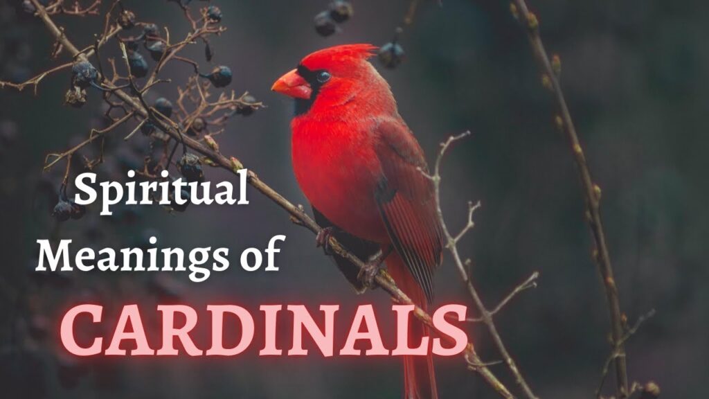 What Does Veil Mean Spiritually? Understanding Its Symbolism ...
