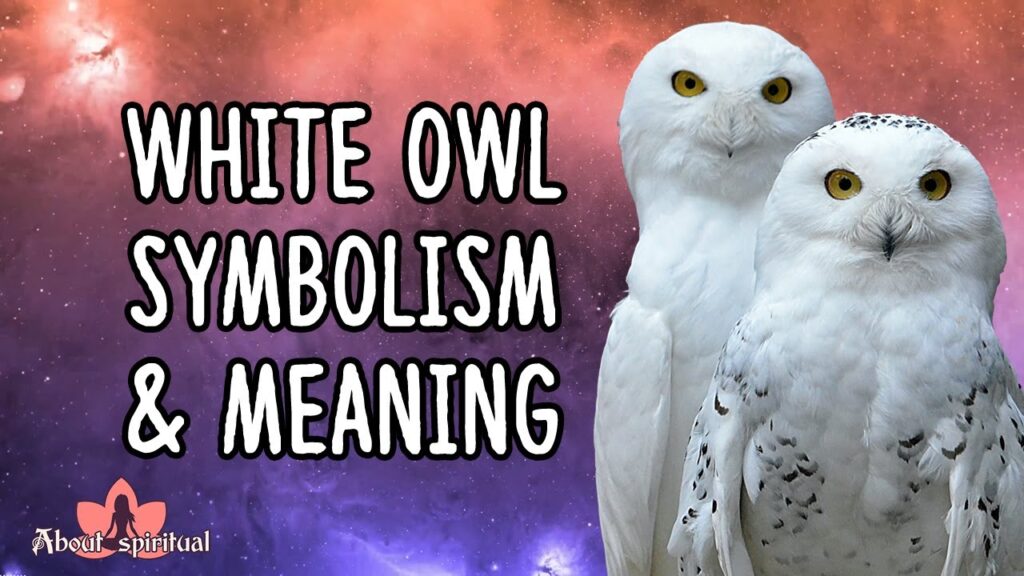 The Spiritual Significance of Snowy Owls: Exploring the Symbolism ...