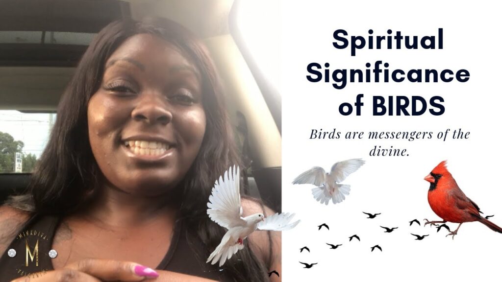 Understanding the Spiritual Meaning of a Bird Landing on Your Head ...