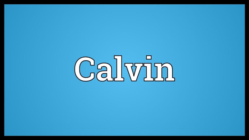 The Spiritual Meaning of Calvin: Unveiling the Essence - Spiritual Meaning