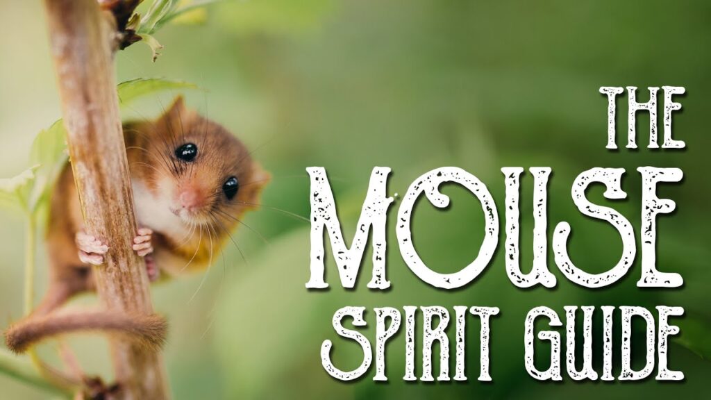 The Spiritual Meaning of Mice: Insights and Symbolism - Spiritual Meaning