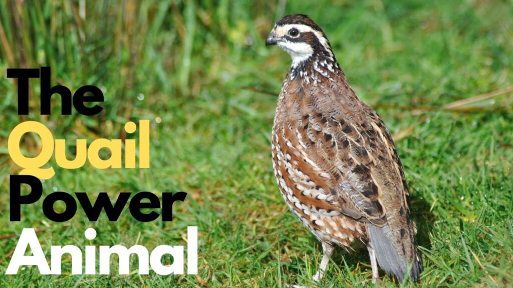 Exploring the Spiritual Meaning of the Omega Symbol - Spiritual Meaning