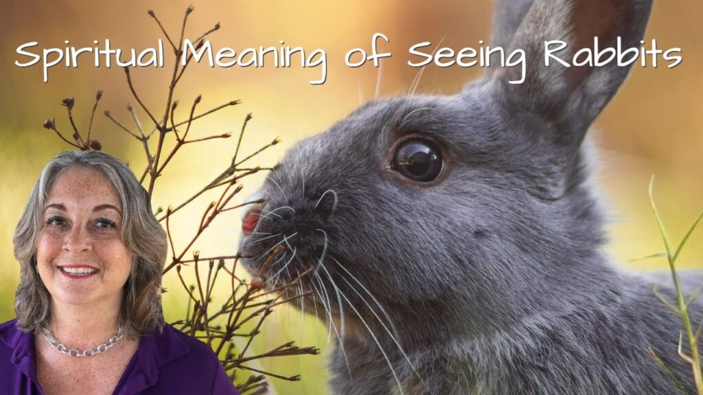 The Spiritual Meaning of Rabbit's Foot: Insights and Symbolism ...