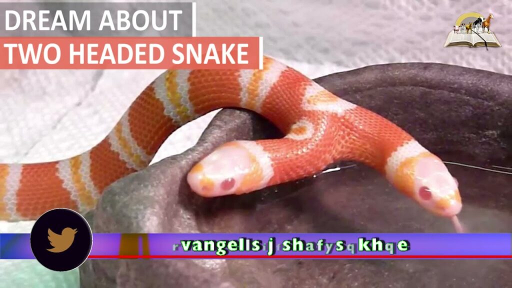 Understanding the Spiritual Meaning of Two-Headed Snakes - Spiritual ...