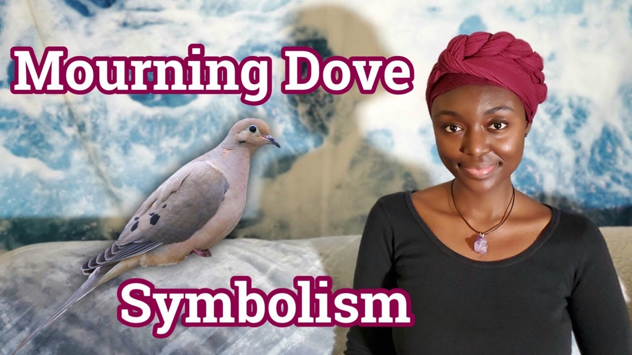 The Spiritual Meaning of Two Mourning Doves - Spiritual Meaning