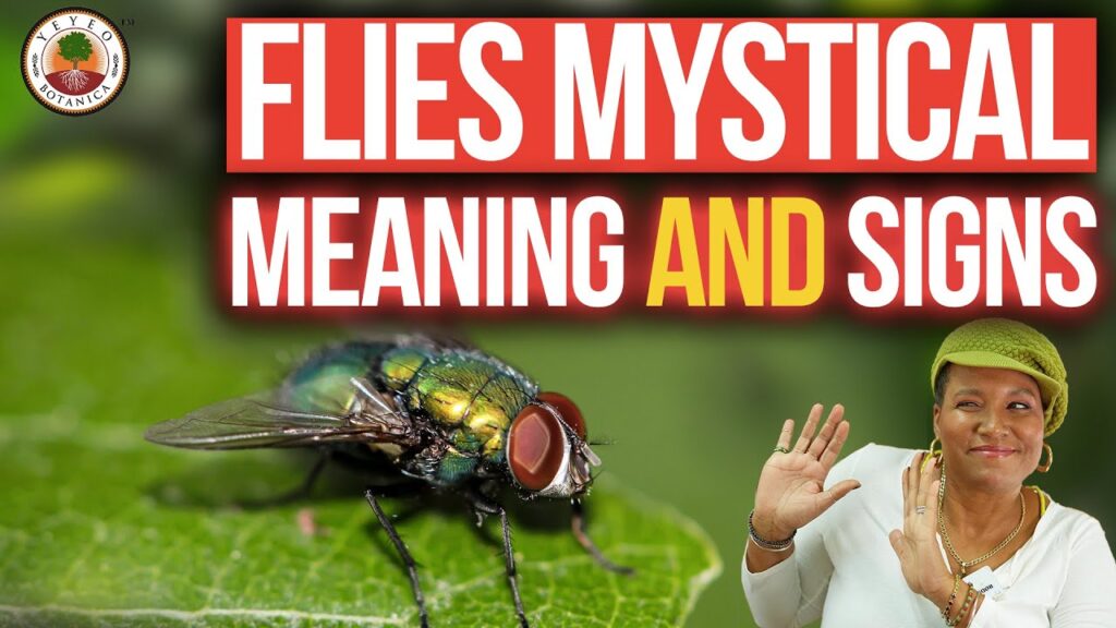 Understanding the Spiritual Meaning of Gnats - Spiritual Meaning