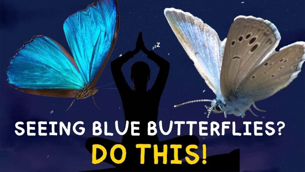 The Spiritual Meaning of a Blue Butterfly Exploration - Spiritual Meaning