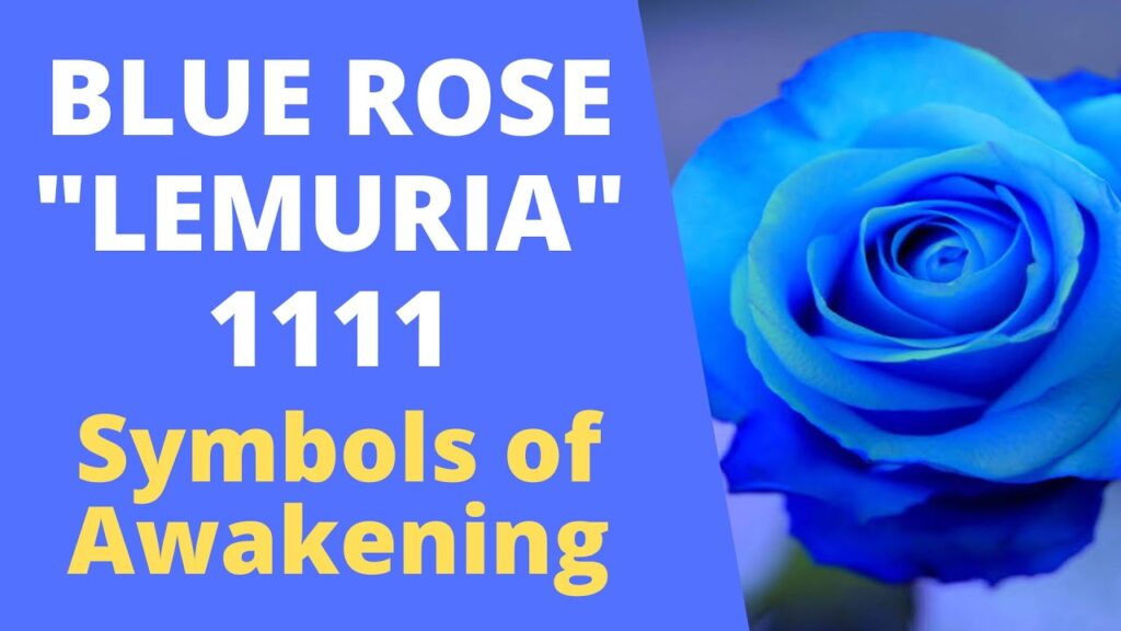 Unveiling the Spiritual Meaning of a Blue Rose - Spiritual Meaning