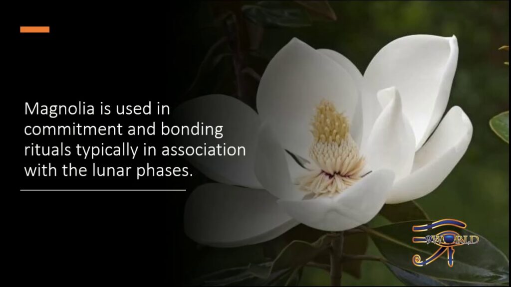 Understanding Spiritual Alignment: What Does it Truly Mean? - Spiritual ...